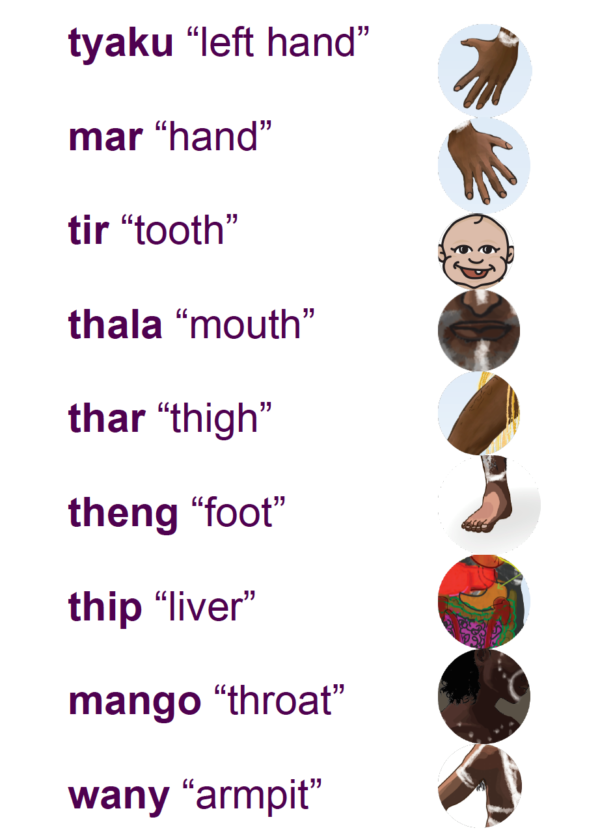 Ancient Words - Cape York Partnership